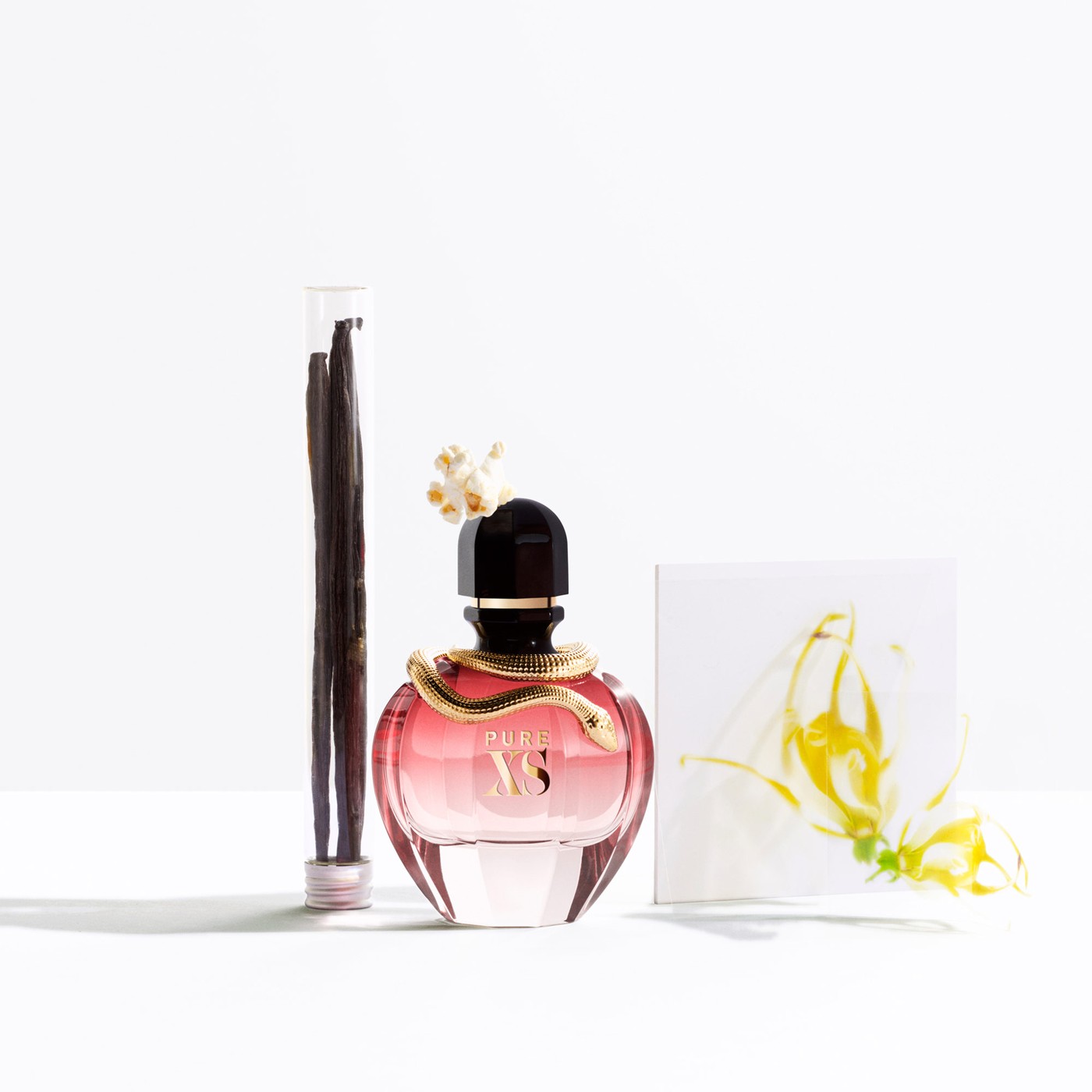 Sweet Perfume That Smell Great - Fashion & Lifestyle